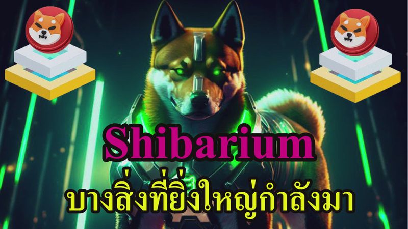 [SCOPE TV] สิ้นสุดการรอคอยเริ่มกรอกแบบฟอร์มการรับเข้า Shibarium