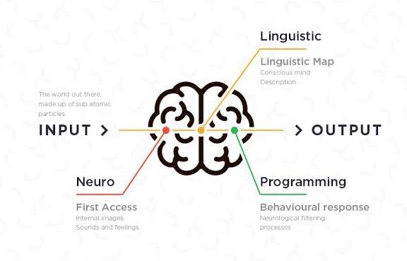 [BirdBrand] ทฤษฎี NPL การ NLP ตัวเอง ถ้าคุณยังกิ๊กก๊อกกระจอกอยู่ ก็ต้อง ...