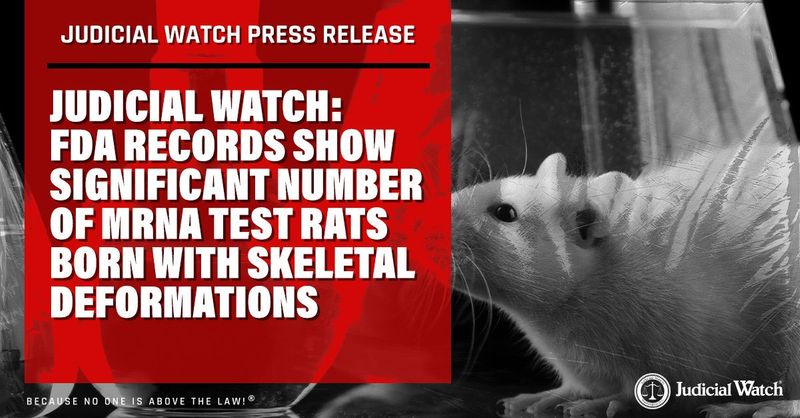 [UnMitigated] Significant Number of mRNA Test Rats Born with Skeletal ...
