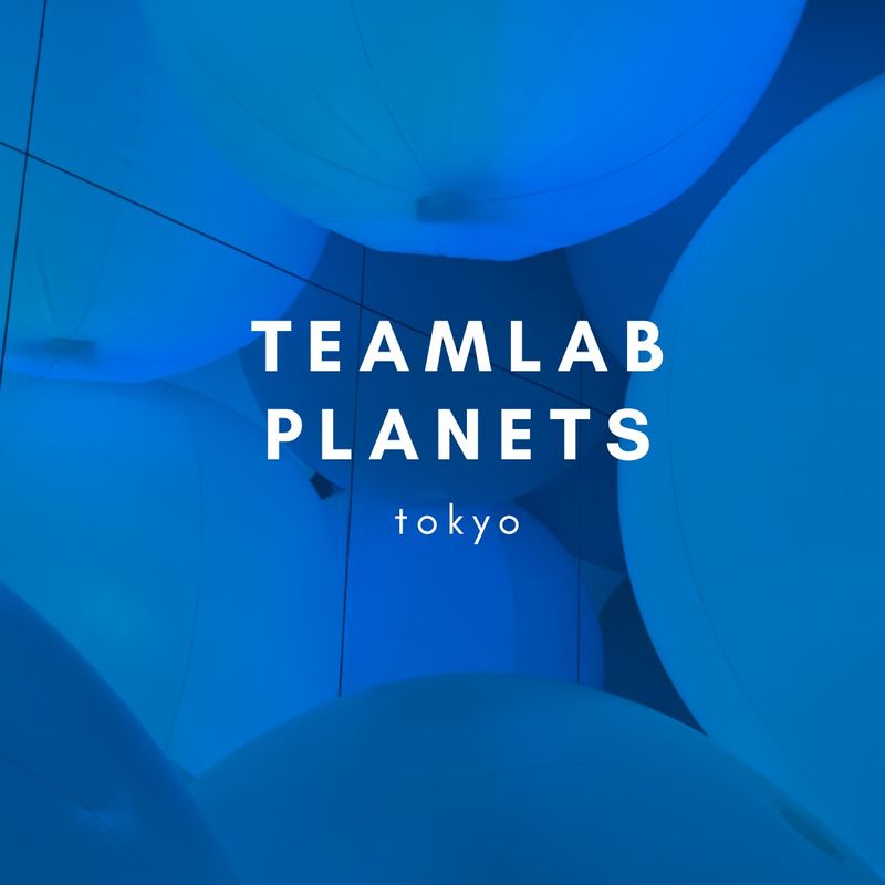 [เที่ยวจนไม่เหลือวันลา] TeamLab Planets Tokyo ใครมาโตเกียวห้ามพลาดนะจ้ะ ...