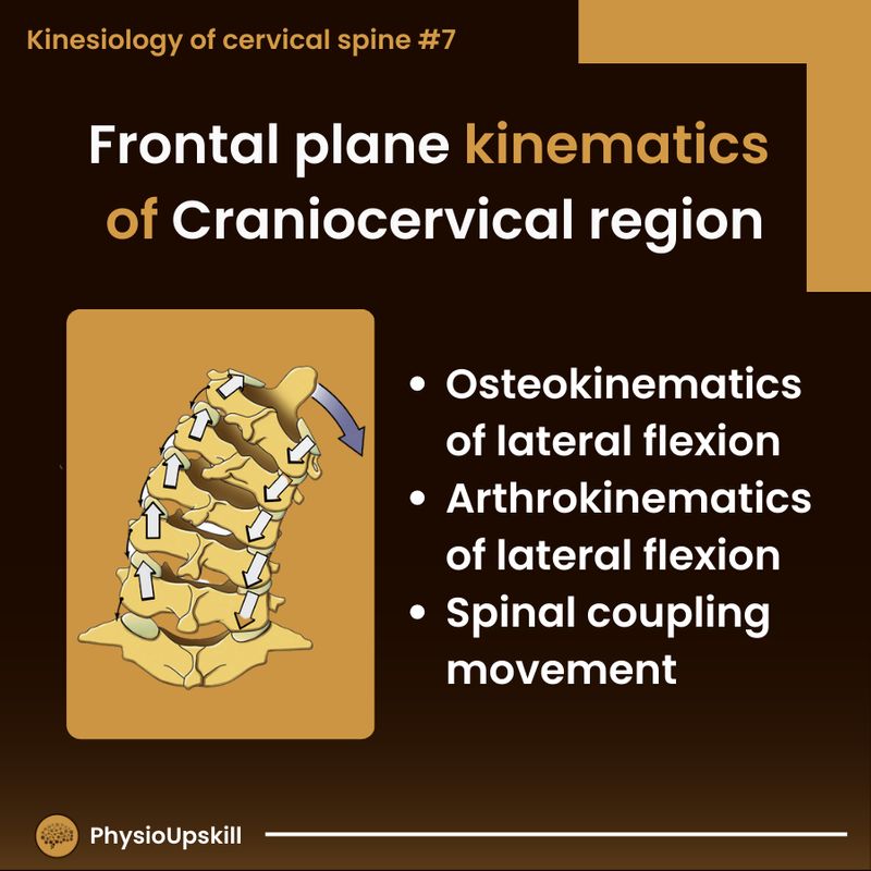 [Physioupskill] ## Episode31: Kinesiology of cervical spine#7 Frontal ...