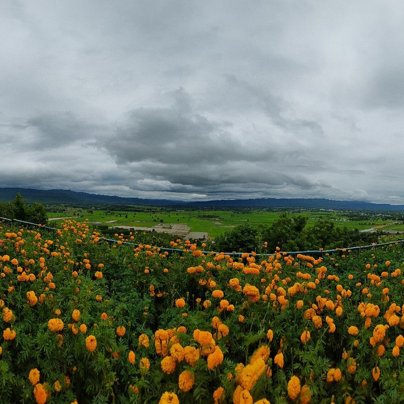 [thaveera awut] ต้องเอาเงินมาลงทุน เพื้อให้เกิดกำไรครับ วิธีการลงทุน ...