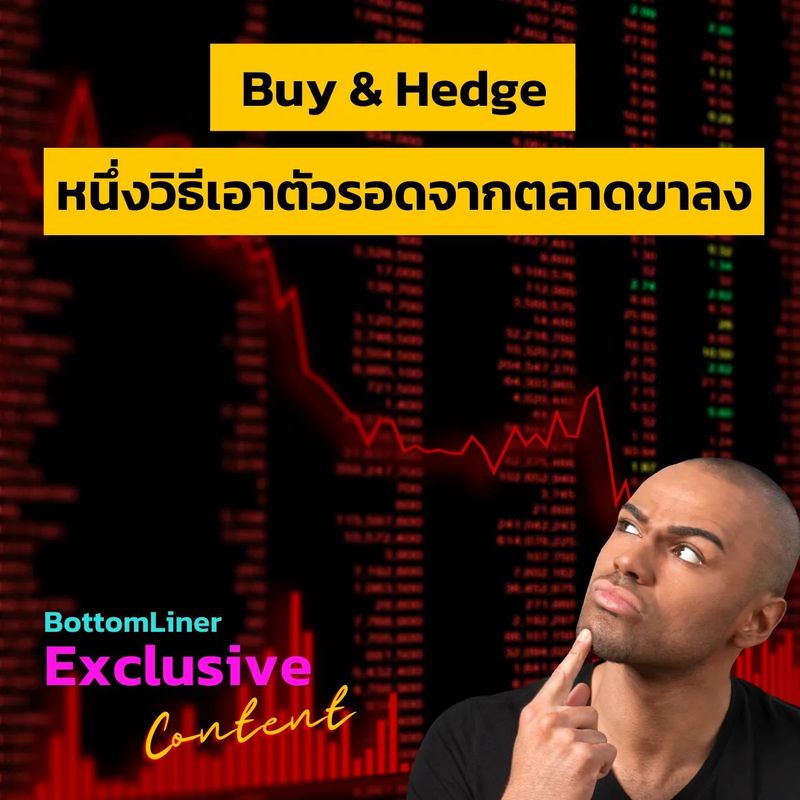 [สรุปหุ้น กองทุน ต่างประเทศ - BottomLiners] Buy & Hedge หนึ่งวิธีเอาตัวรอดจากตลาดขาลง . หลายคน ...