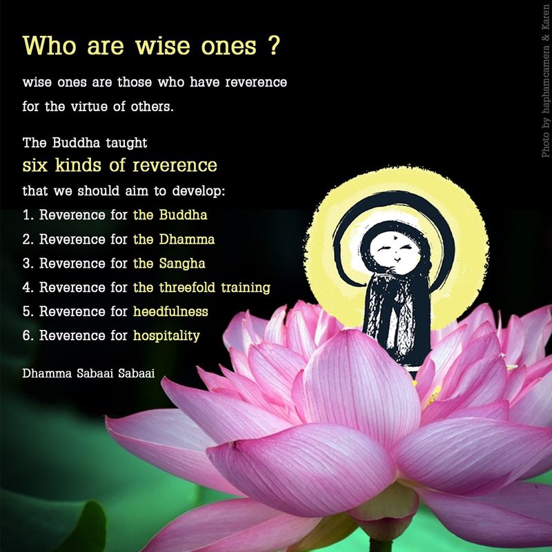 [ธรรมะสบายสบาย] Wise ones are those who have reverence for the virtue ...