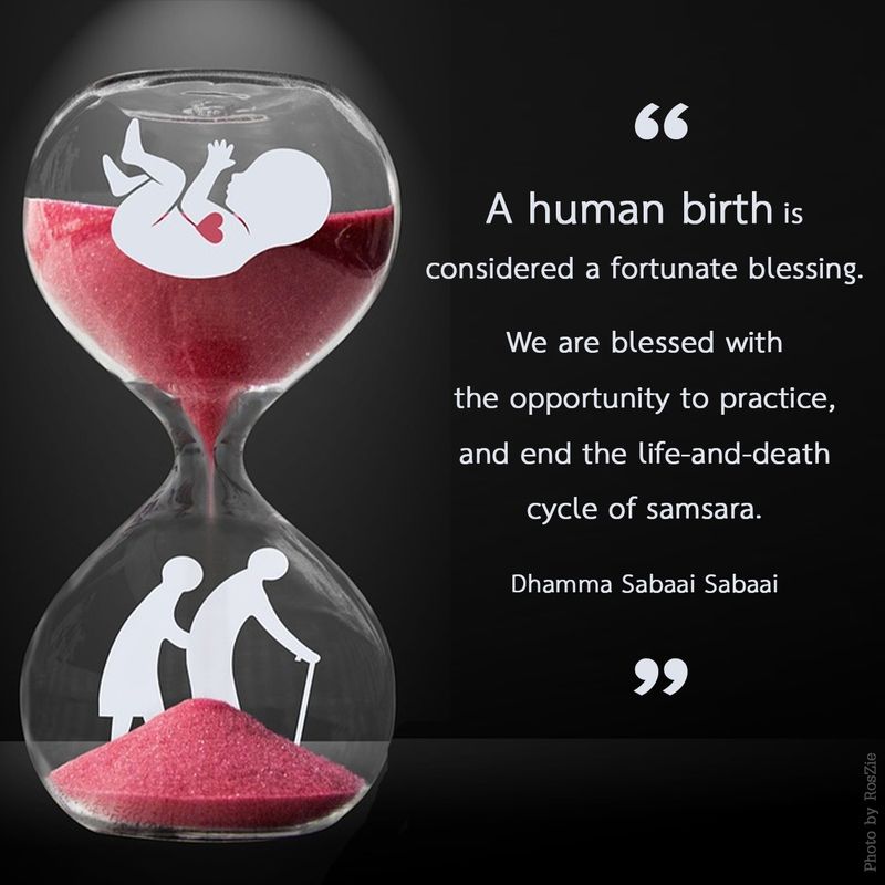 [ธรรมะสบายสบาย] Why are we born as humans? A human birth and the human ...