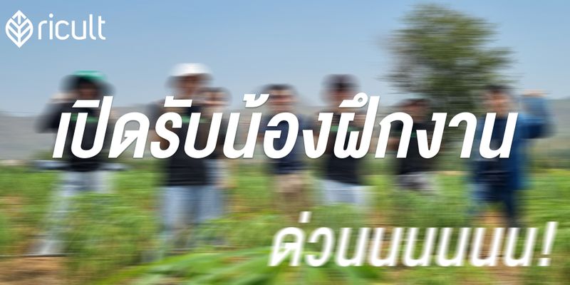 [รีคัลท์ - Ricult Thailand] 📌 RICULT : INTERNSHIP PROGRAM 2023 เปิดรับ ...