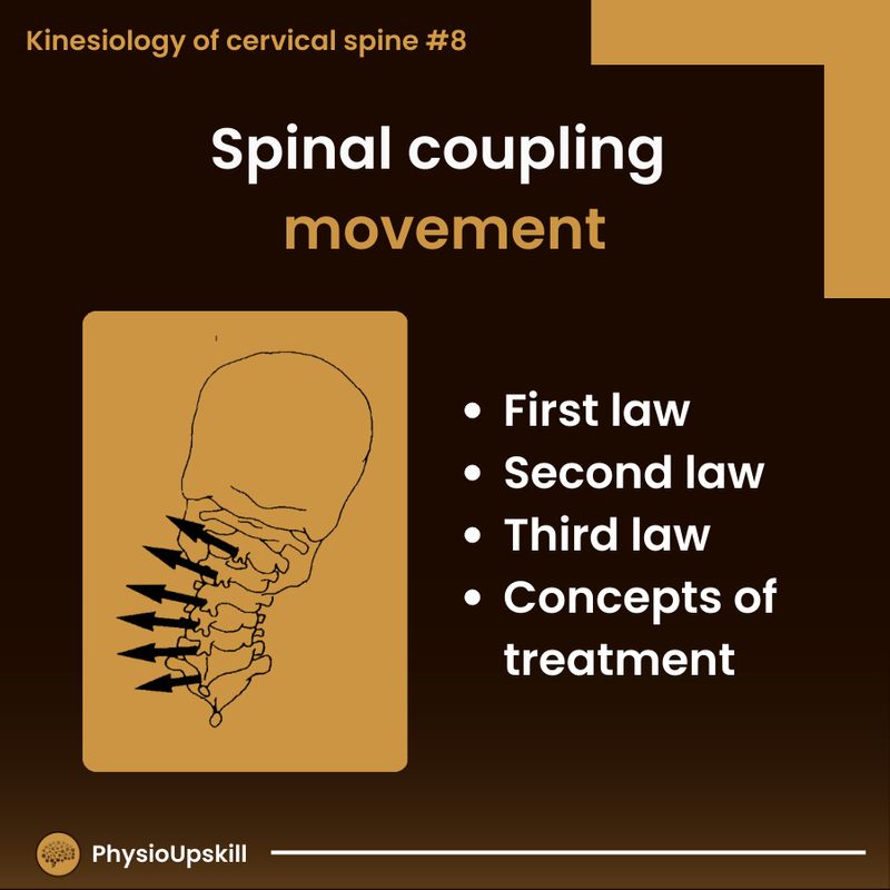 [Physioupskill] ## Episode32: Kinesiology of cervical spine#8 Spinal ...