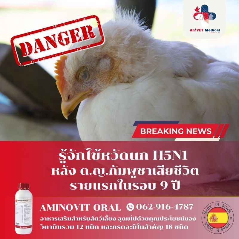 [AniVET New ข่าวสารวงการสัตว์] 🐦"ไข้หวัดนก" หรือ Influenza A (H5N1) ได้กลับมาเป็นที่สนใจอีกครั้ง ...