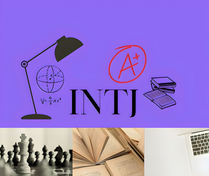 [Rabbit Share.] [Rabbit Share] เข้าใจบุคลิกภาพ INTJ "นักออกแบบ" INTJ ...