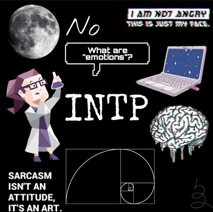 [Rabbit Share.] [ Rabbit Share] เข้าใจบุคลิกภาพ INTP "นักตรรกะ" MBTI ...