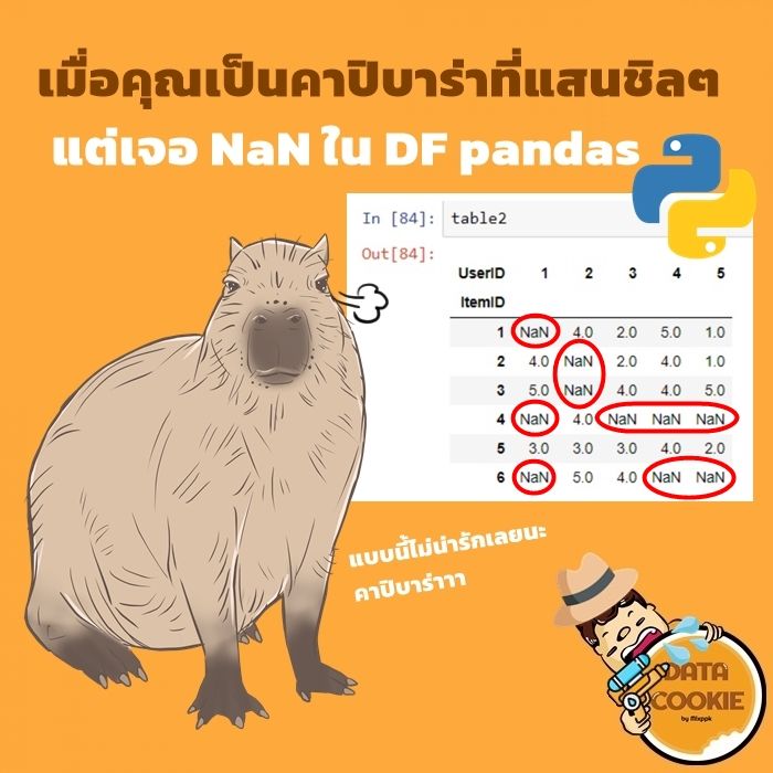 [Datacookie] คาปิบาร่าไม่ถูกใจค่าNaNในPandasนะจ้ะ 🐇😠 คาปิบารา คาปิบารา คาปิบารา คาปิบารา 🎶 แอด ...