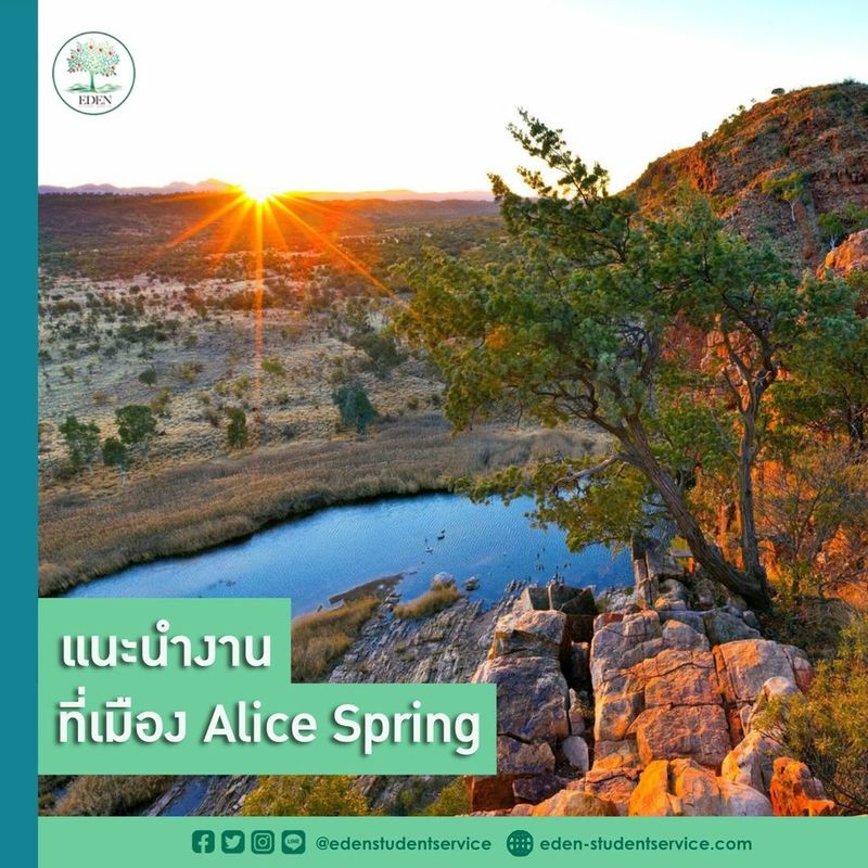 [เรียนต่อออสเตรเลีย EDEN STUDENT SERVICE] แนะนำงานที่เมือง Alice Spring ...