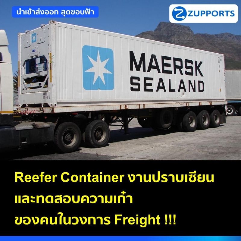 [นำเข้าส่งออก สุดขอบฟ้า] ZUPPORTS 101 : Reefer Container งานปราบเซียน ...
