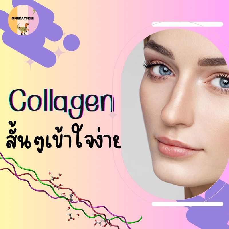[onedayfree] บทที่ 8 Collagen สั้นๆเข้าใจง่ายใน 5 นาที 1. รู้จัก ...
