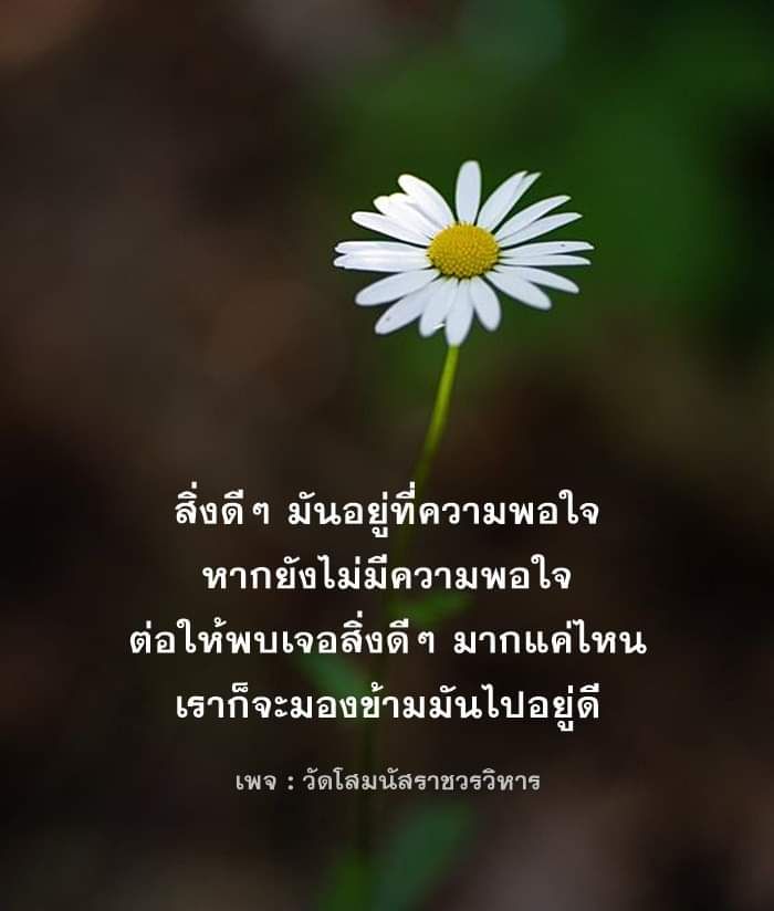 [เบื่อเมือง] บางทีเราก็ไม่เคยหยุดดูเลย