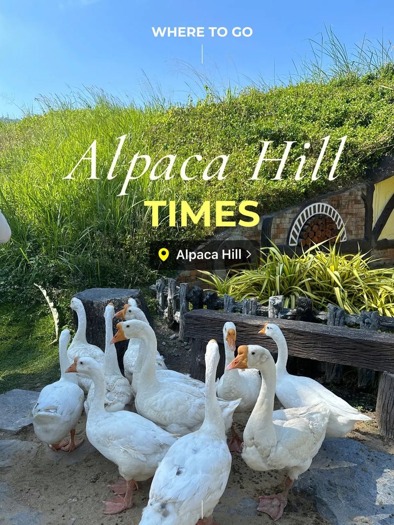 [journey time] ใครว่าราชบุรีที่นี้..มีแค่อัลปาก้า🦙 🗺️ เปิดโลกกว้างไปอี๊ ...