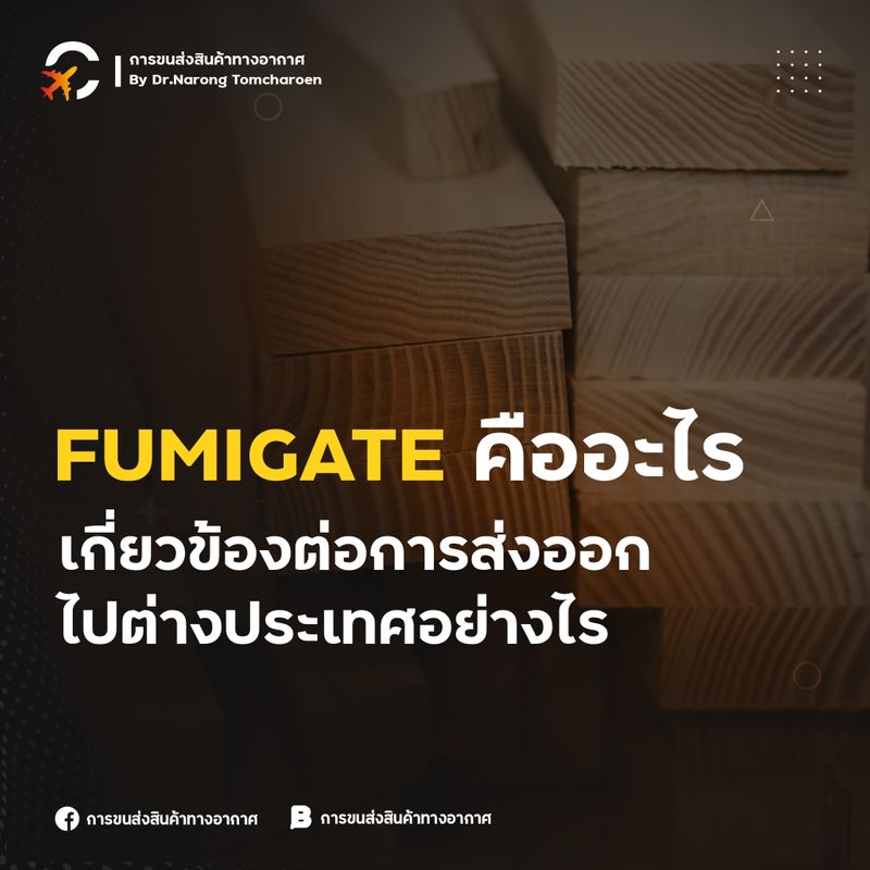 [การขนส่งสินค้าทางอากาศ] 🪵Fumigate คืออะไร? เกี่ยวข้องต่อการส่งออกไป ...