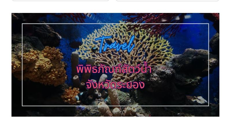 [opp_oPP] พิพิธภัณฑ์สัตว์น้ำ บ้านเพ ระยอง