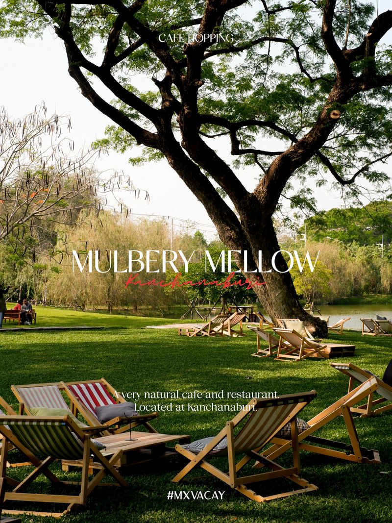 [M x VACAY] Mulberry Mellow คาเฟ่ฟีลเหมือนอยู่เมืองนอก! ซัมเมอร์นี้ ใคร ...