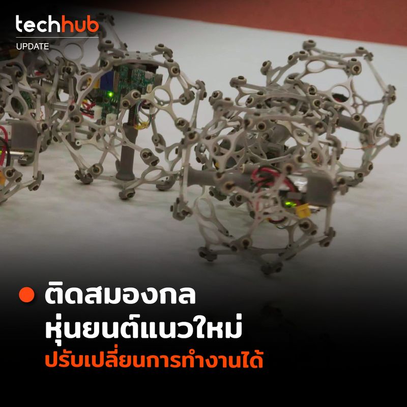 [Techhub] นี่อาจจะเป็นต้นแบบของ เทคโนโลยี Nano bot ในอนาคต โดยปกติแล้ว ...