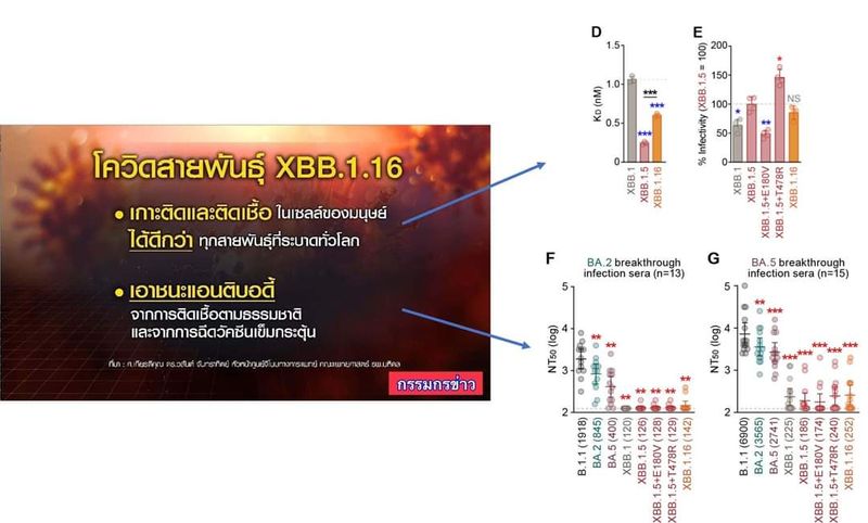 [เบื่อเมือง] เห็นภาพข่าวเรื่อง XBB.1.16 ส่งต่อกันไปเยอะๆเริ่มกังวลกับ ...