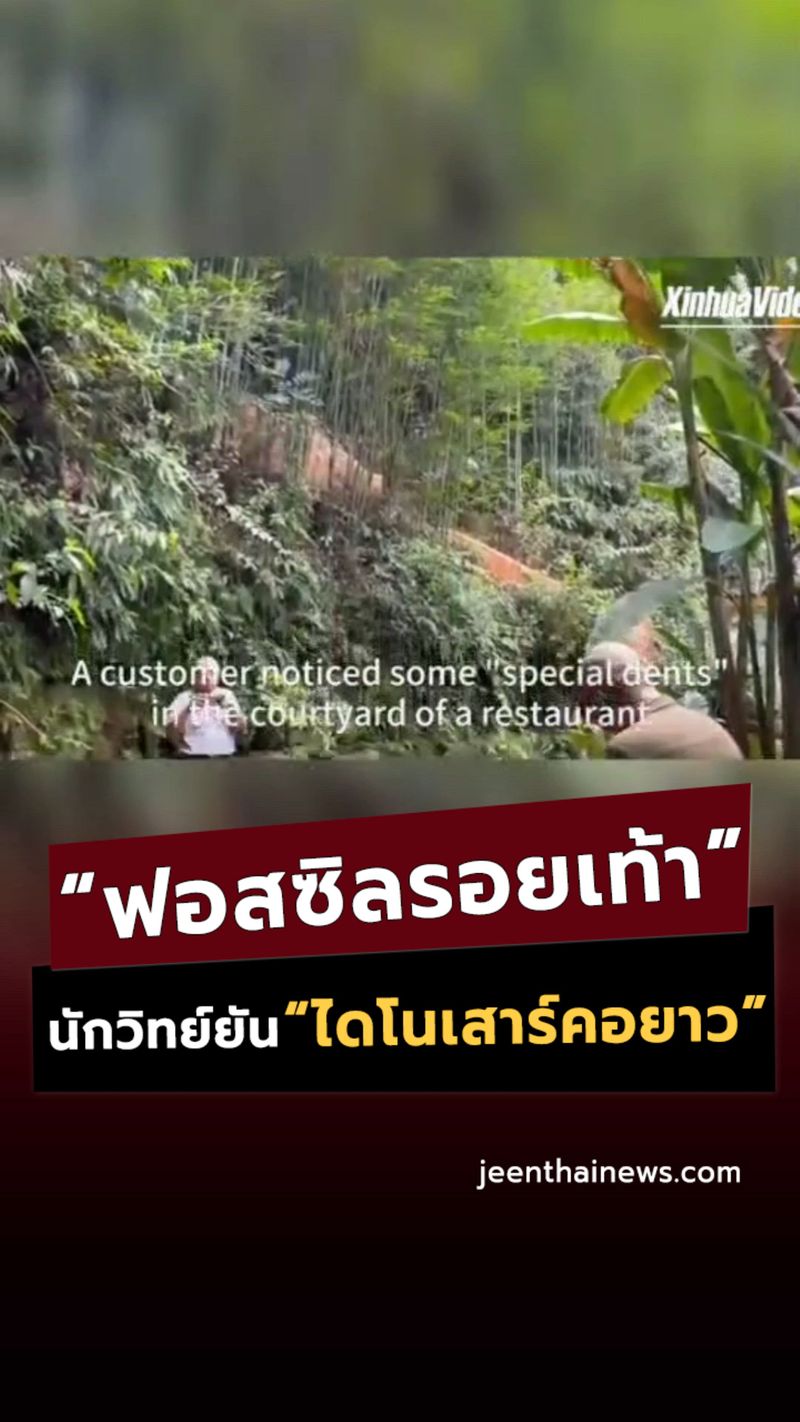 [JEENTHAINEWS] EP:2/2.ฟอสซิลรอยเท้า นักวิทย์ยัน ไดโนเสาร์คอยาว