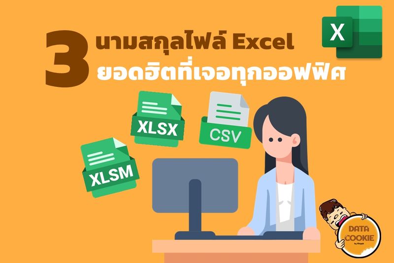 [Datacookie] 3นามสกุลไฟล์Excelยอดฮิตที่เจอทุกออฟฟิศ 👨‍💻👩‍💻 ทุกงานทุกอาชีพจะมีไฟล์ๆนึงที่ไม่อาจ ...