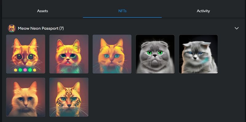 [Gaokub NFTs World] โปรเจค #MeowNeon ยังอีกยาวนาน เตรียม JBC , CMJ ...