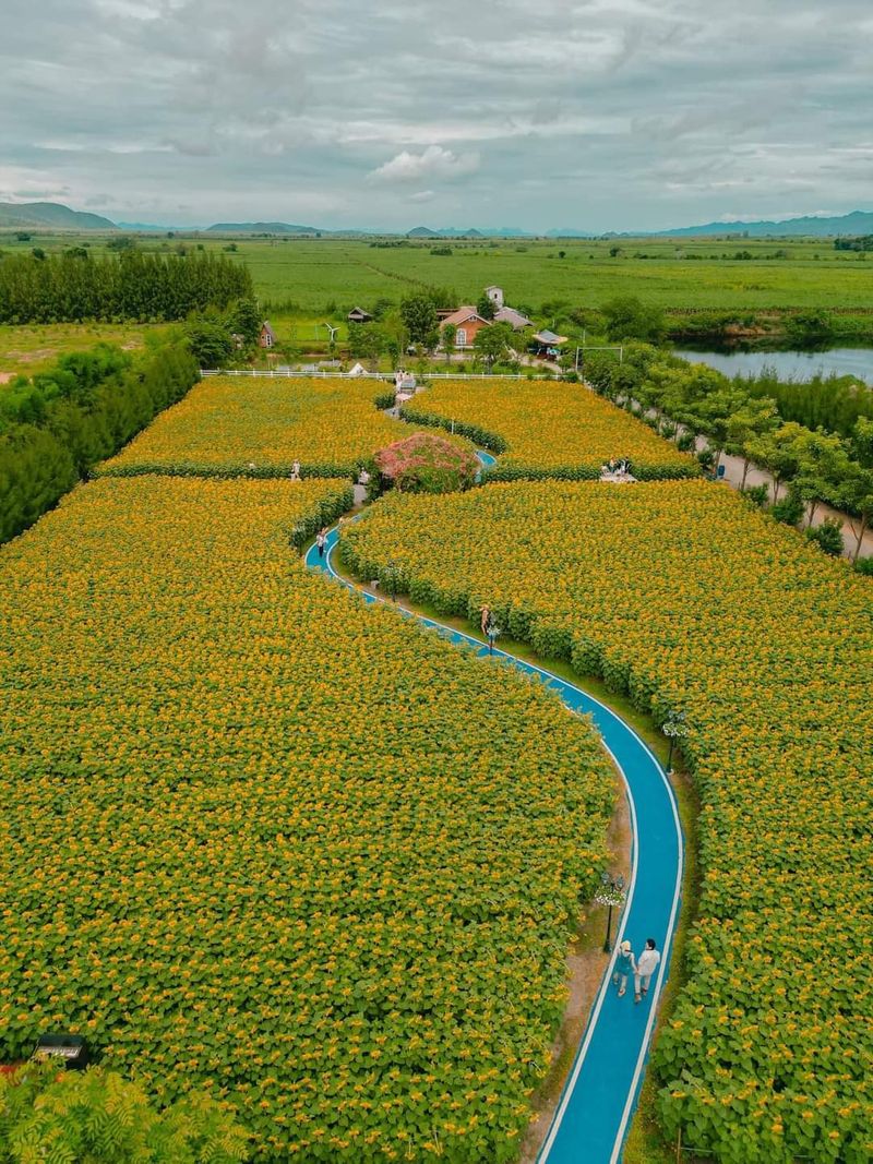 [ท่องเที่ยวทั่วไทย] 🌻ทุ่งทานตะวัน☀️ ที่ บ้านไร่นายรุ่ง Baan Rai Nai Rung