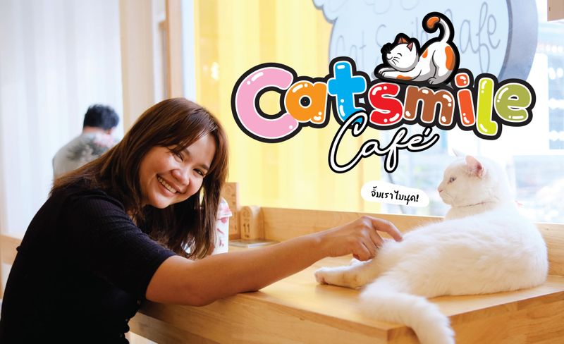 [เดี๋ยวเราพาไป] ไปกอด ไปจิ้ม ไปชมความนุ่มนิ่มของน้องเหมียว ที่ Cat Smile Cafe' กันค่า #รัชโยธิน ...