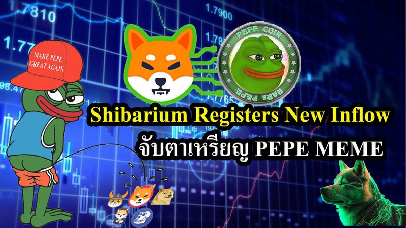 [SCOPE TV] Shibarium beta ทำสถิติใหม่สูงสุดตลอดกาล จับตาเหรียญมาแรง ...