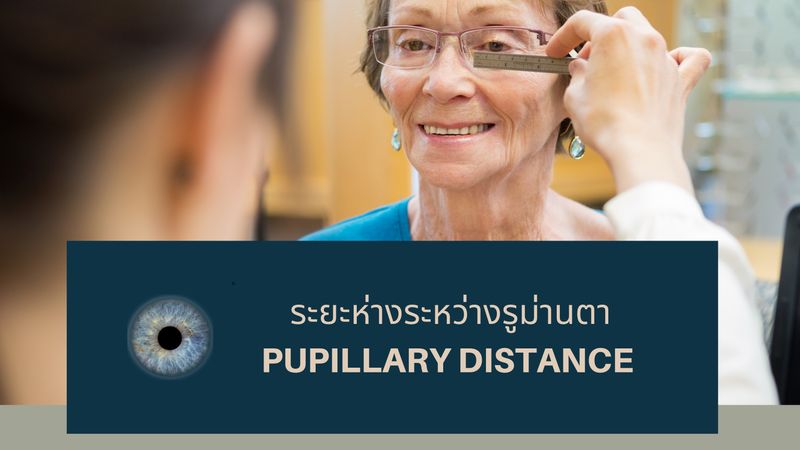 [ทัศนมาตร รีพอร์ต] • Pupillary Distance ระยะห่างระหว่างรูม่านตา ...
