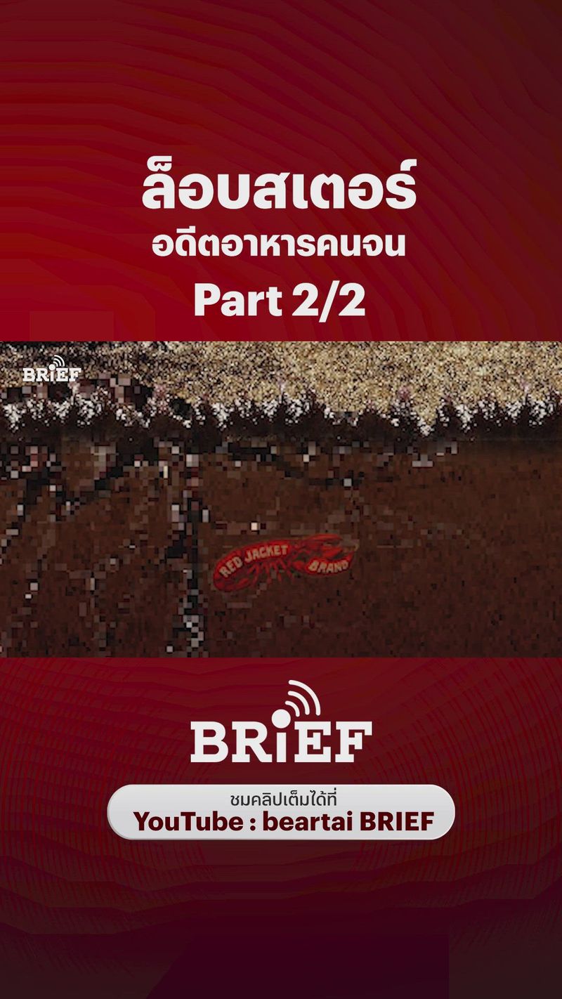 [beartai BRIEF] ล็อบสเตอร์ อดีตอาหารคนจน Part 2/2 #ล็อบสเตอร์ #กุ้ง #อาหาร #beartaiBRIEF