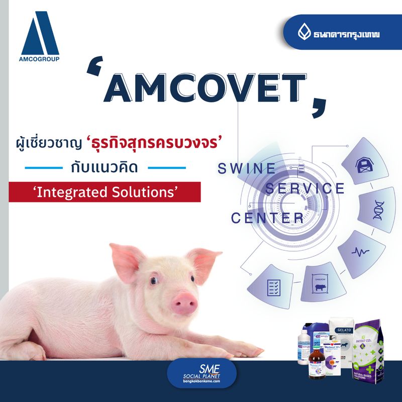 [Bangkok Bank SME] ‘AMCOVET’ ก้าวสู่ผู้นำ ‘ธุรกิจสุกรครบวงจร’ ด้วยแนวคิด ‘Integrated Solutions ...