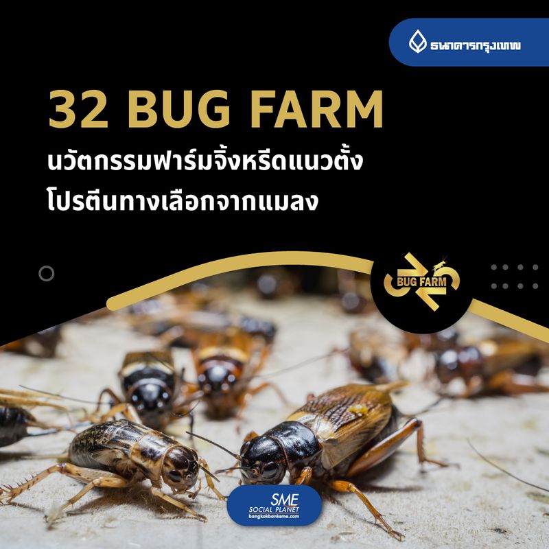 [Bangkok Bank SME] 32 BUG FARM นวัตกรรมฟาร์มจิ้งหรีดแนวตั้ง แมลงจัดเป็น ...
