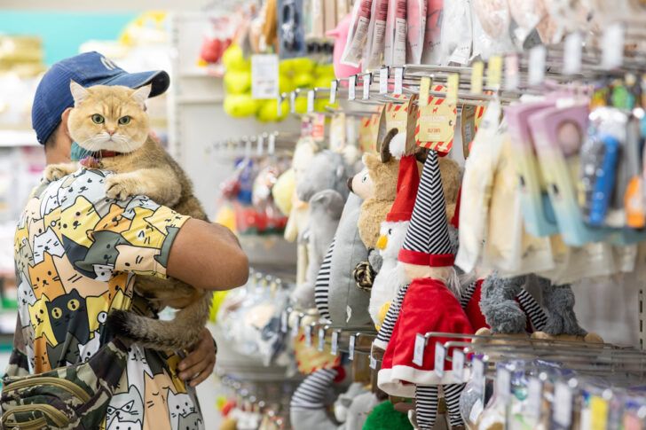 [Prachachat Online] ธุรกิจสัตว์เลี้ยงโตสวนกระแส เพ็ตช็อปผุดพรึ่บ-อาหารพรีเมี่ยมแมสฮิต ธุรกิจ ...