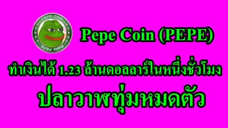 [SCOPE TV] PEPE Coin Whale ทำเงินได้ 1.23 ล้านดอลลาร์ในหนึ่งชั่วโมง ...