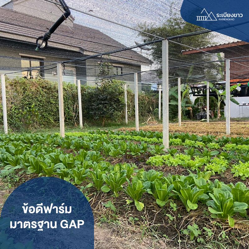 [Rabiengkao Resort & Farm] GAP (Good Agricultural Practice) GAP (Good ...