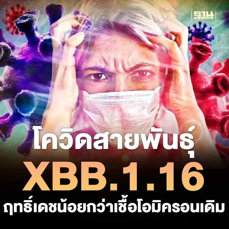 [ฐานเศรษฐกิจ_Thansettakij] "โควิดสายพันธุ์ XBB.1.16" ไม่มีฤทธิ์เดชมากกว่าเชื้อโอมิครอนเดิม "โค ...