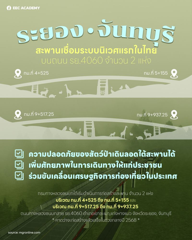 [EEC Academy] ระยอง-จันทบุรี สะพานเชื่อมระบบนิเวศแรกในไทย บนถนน รย.4060 ...