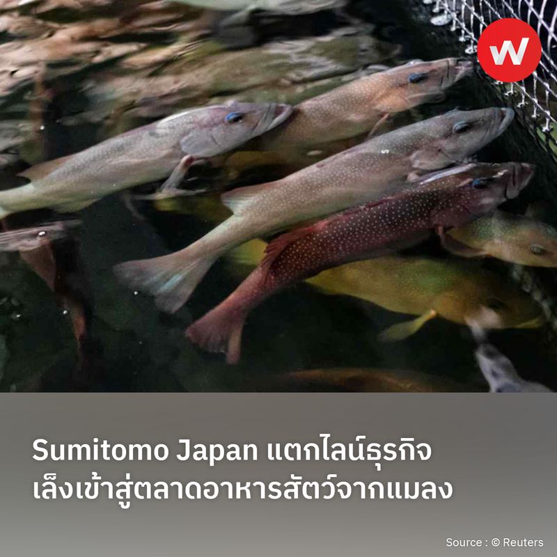 [WABIZ รู้รอบทิศ ธุรกิจญี่ปุ่น] Sumitomo Japan แตกไลน์ธุรกิจ เล็งเข้า ...