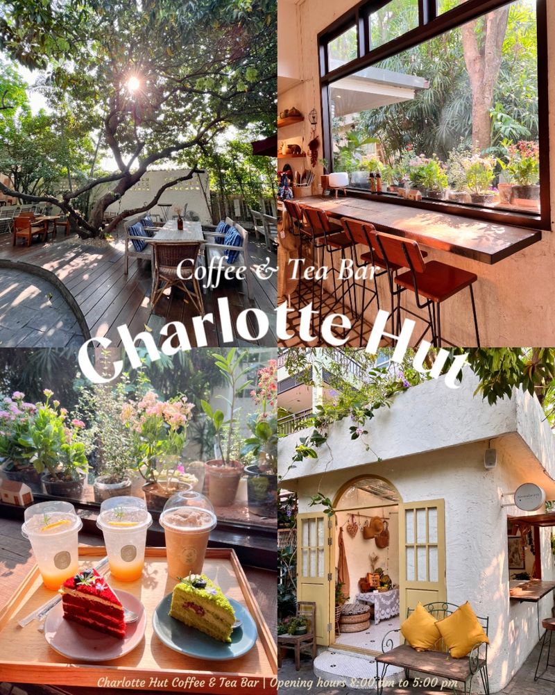 [Amy Napasorn💫] เค้ก ดอกไม้ แสงอาทิตย์ ส่วนผสมที่ลงตัวของคาเฟ่ที่ feel ...