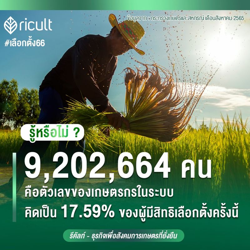 [รีคัลท์ - Ricult Thailand] 💚เตรียมนับถอยหลังสู่ช่วงสุดท้ายของการ ...