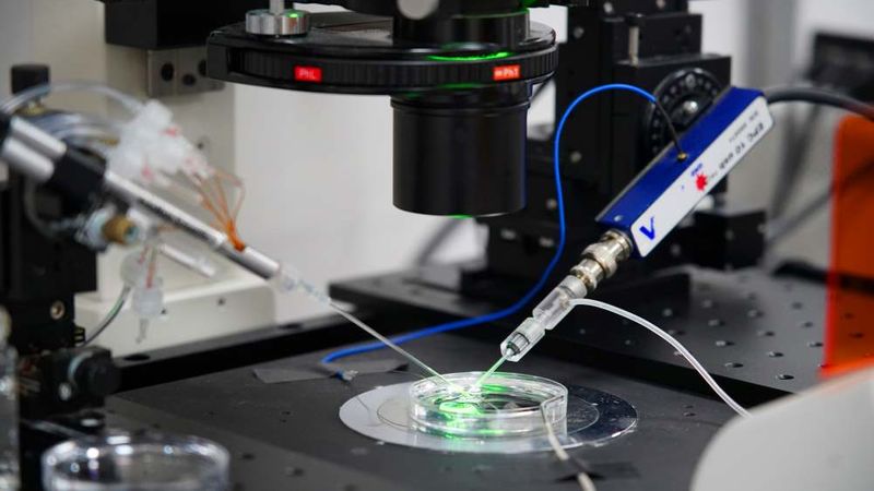 [Xiao Mei] Shanghai Drug Safety Evaluation Center Medicilon has a ...