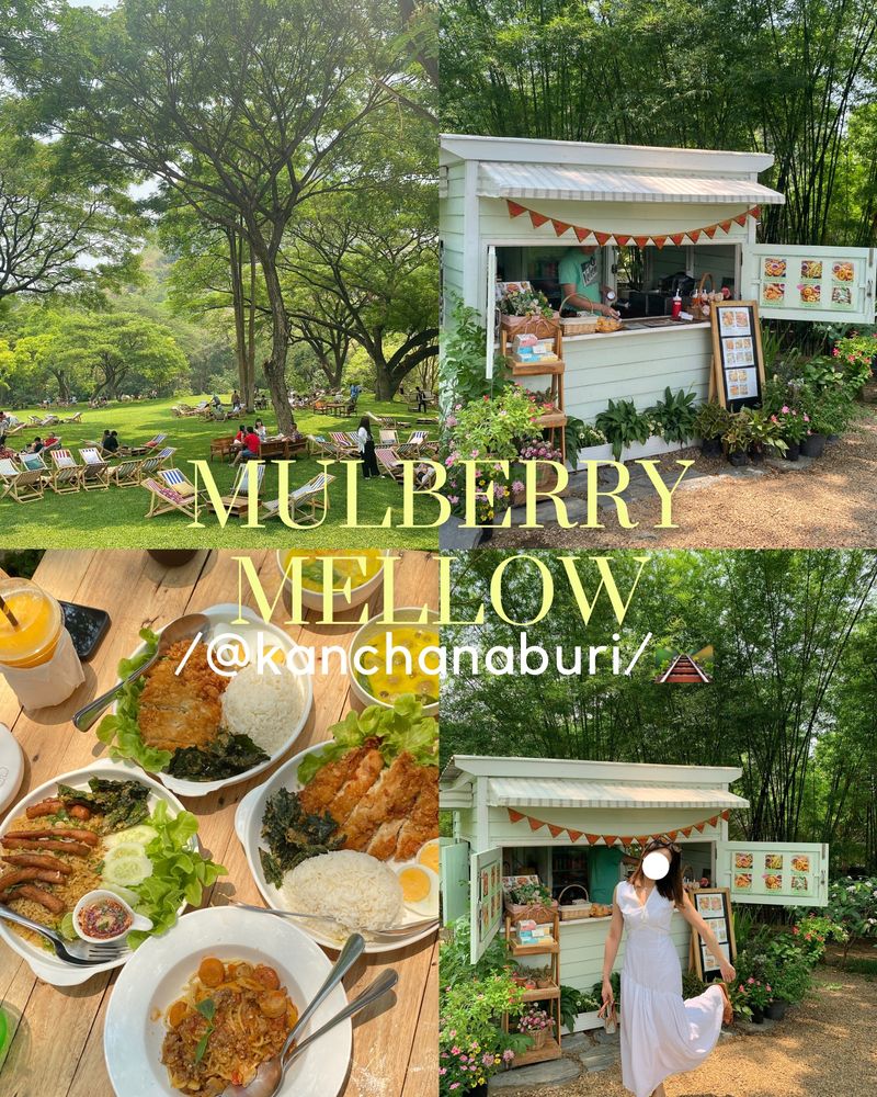 [when.ifound] Mulberry Mellow ที่เที่ยวสุดฮิตที่กาญจนบุรี !! ใครที่มา ...