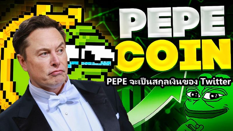 [SCOPE TV] ข่าวคริปโต Elon Musk อาจนำ PEPE เป็นสกุลเงินของ Twitter