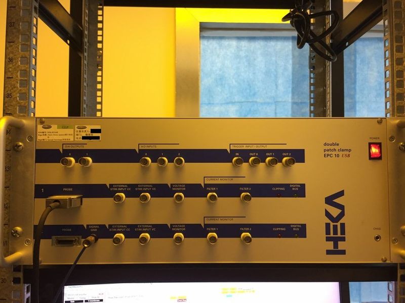 [Xiao Mei] Medicilon's cardiac safety evaluation services-patch clamp ...