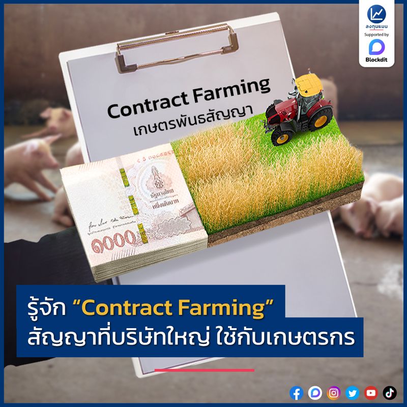[ลงทุนแมน] รู้จัก “Contract Farming” สัญญาที่บริษัทใหญ่ ใช้กับเกษตรกร “ราคาผันผวน คุณภาพไม่ได้ ...