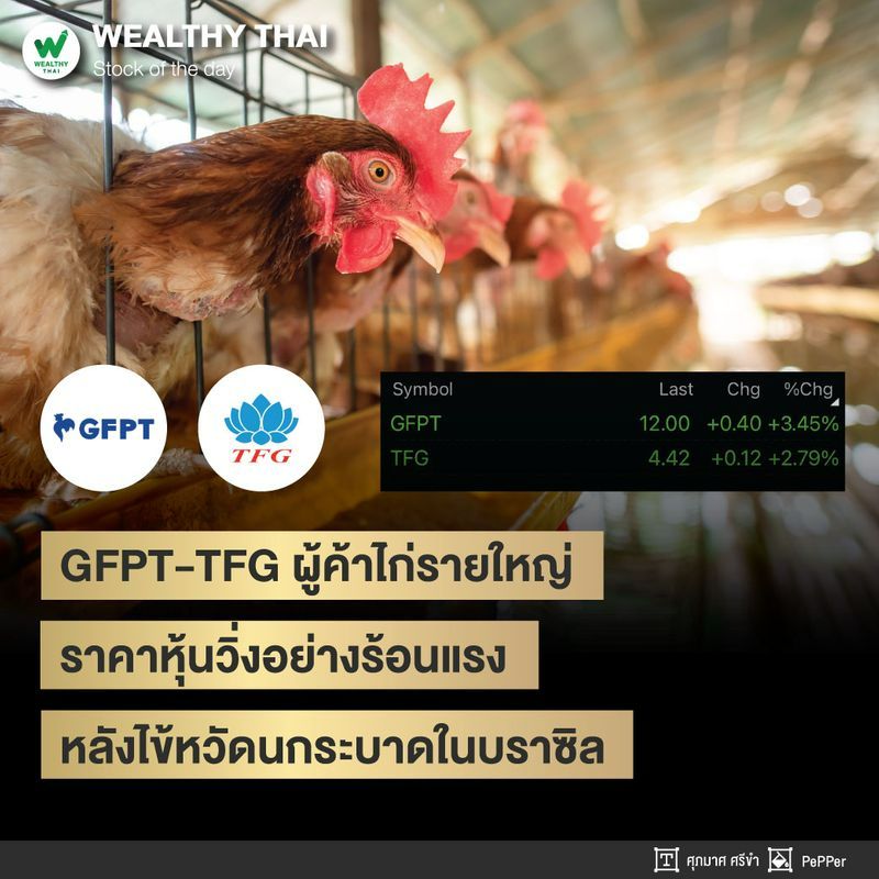 [Wealthy Thai] GFPT-TFG ผู้ค้าไก่รายใหญ่ ราคาหุ้นวิ่งอย่างร้อนแรง หลังไข้หวัดนกระบาดในบราซิล ...