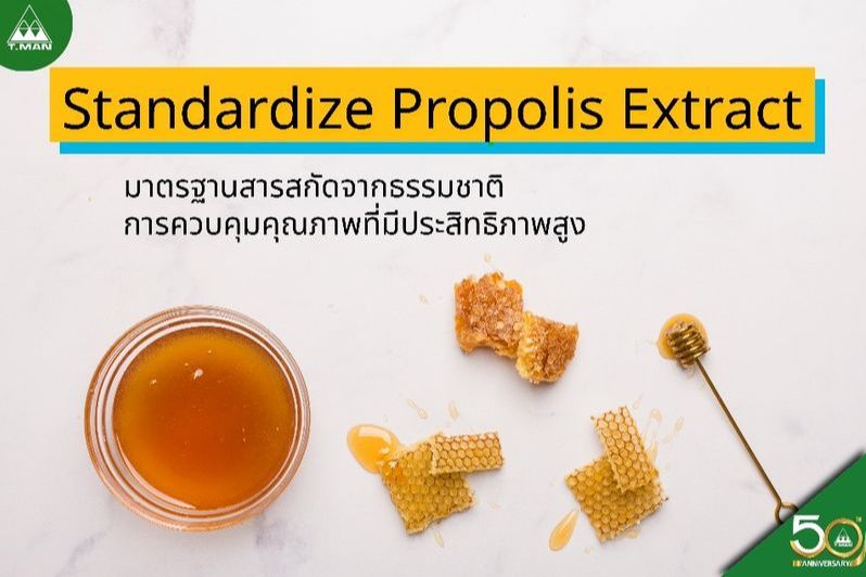 [T.MAN PHARMACEUTICAL] “ สแตนดาร์ดไดซ์ โพรโพลิส” (Standardized Propolis ...